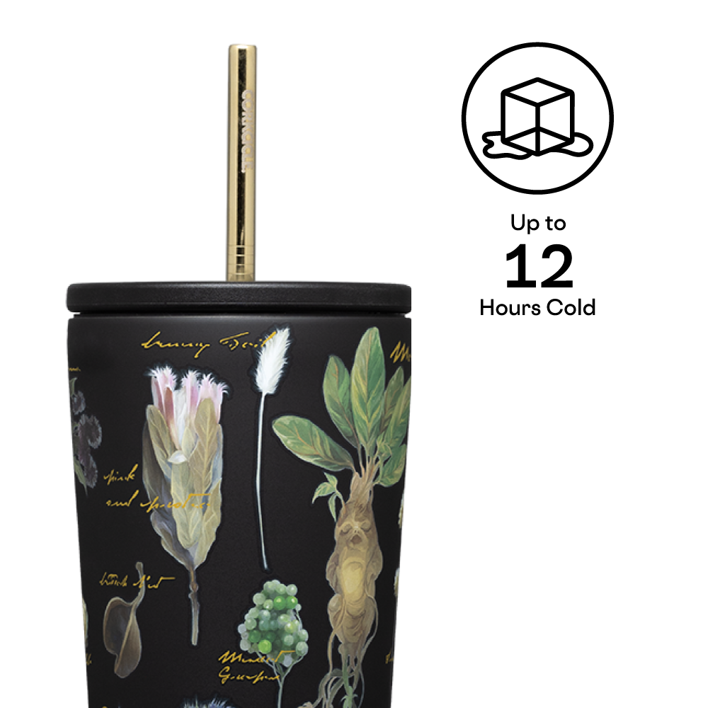 Harry Potter Cold Cup | CORKCICLE.